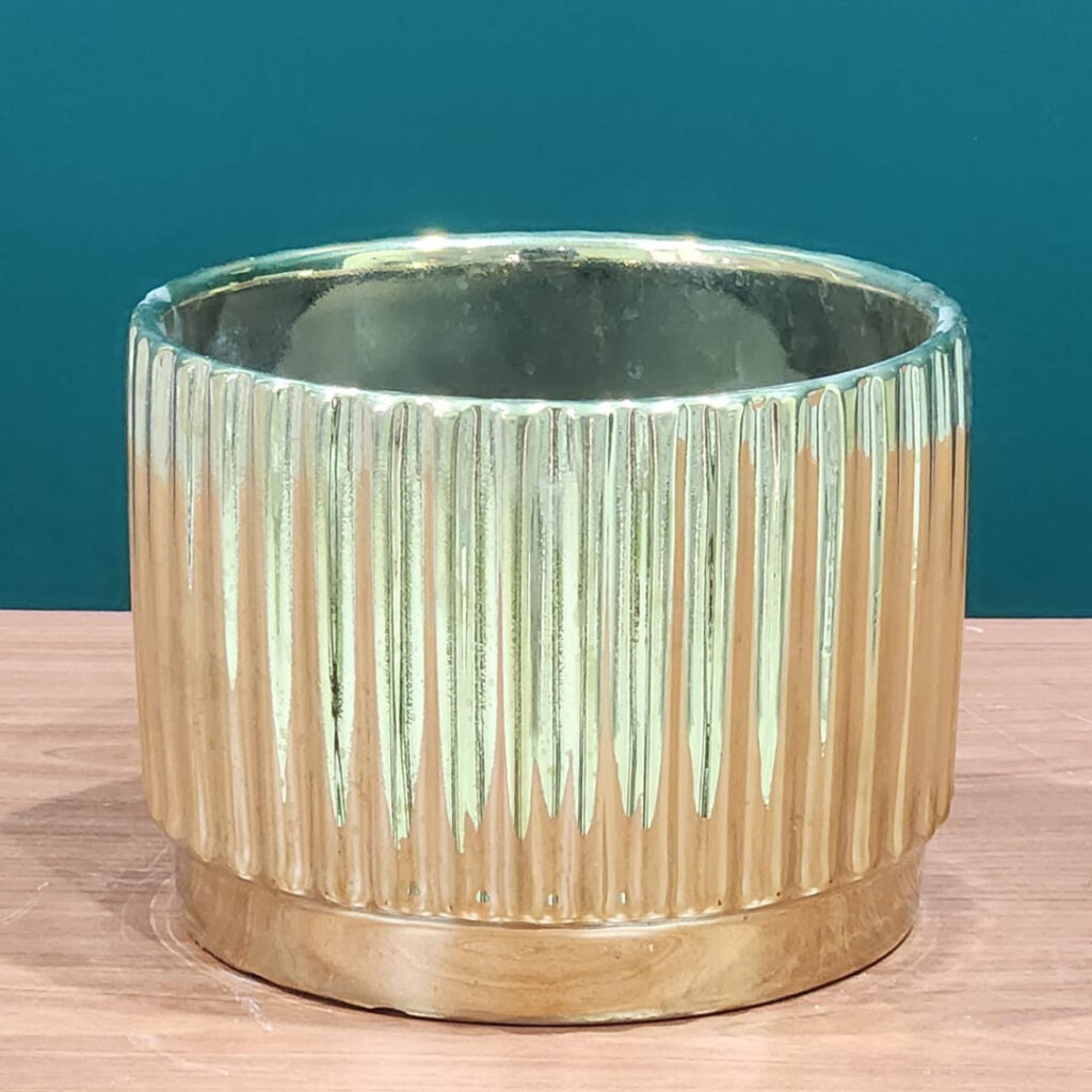 Plant Nursery In Abu Dhabi, Dubai, UAE By My Green Leaf