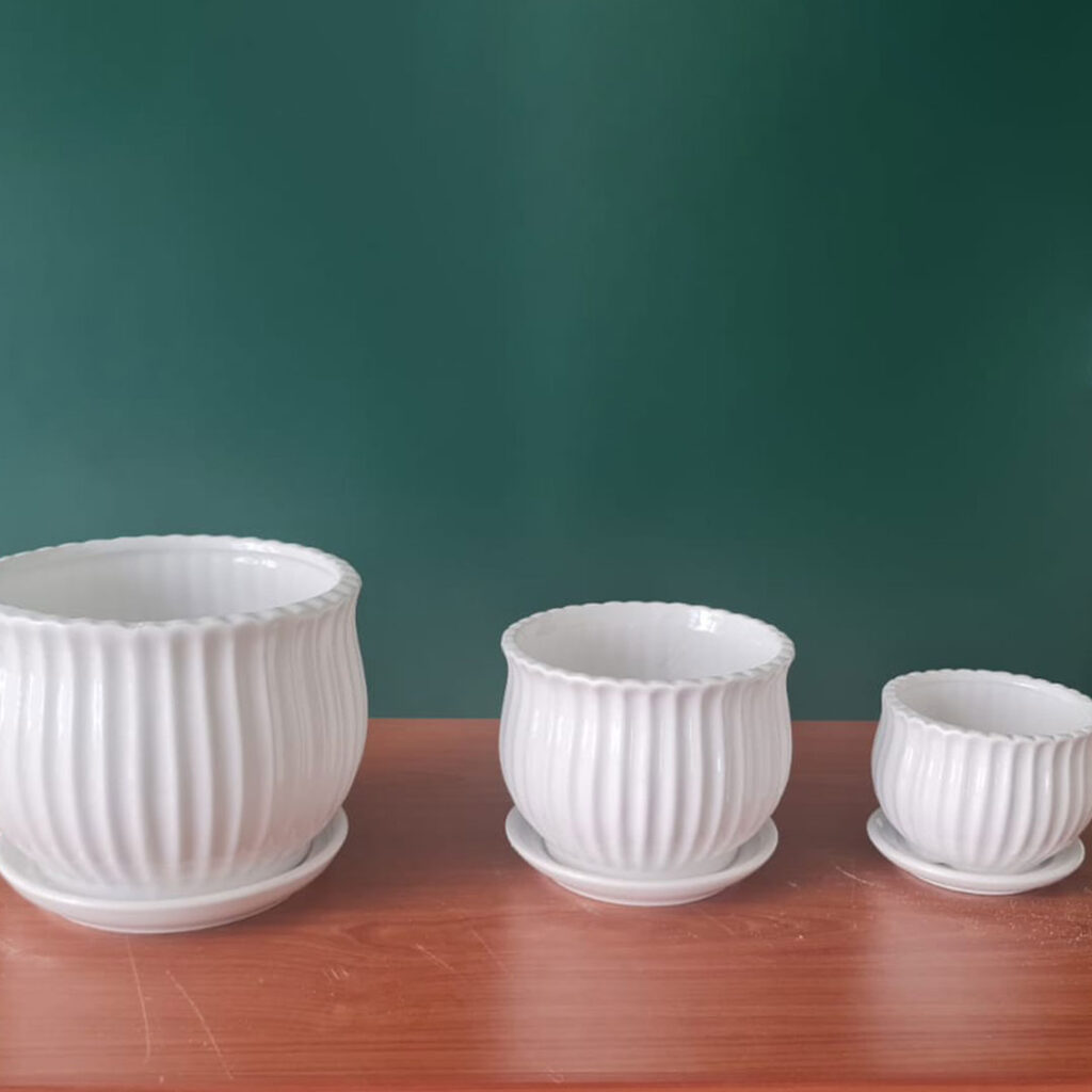 Ceramic Pure White Simple pot with Tray- Pottery Type - My Green Leaf ...