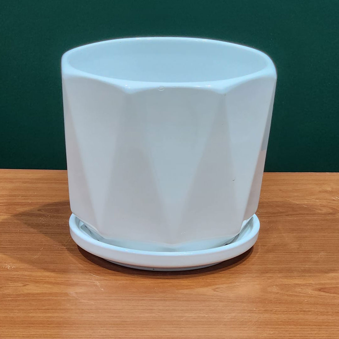 Ceramic White Chiseled Cylindrical Pot – MyGreenLeaf – Indoor & Outdoor ...