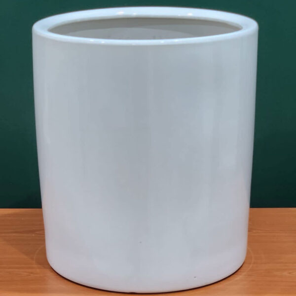 Ceramic White Plain Pot - MyGreenLeaf - Indoor & Outdoor Plants in UAE ...