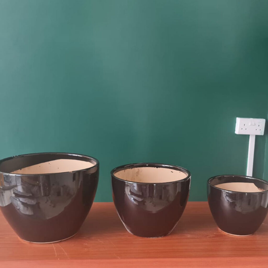 Glazed Ceramic Plant Pot - My Green Leaf - Buy Indoor & Outdoor Plants ...